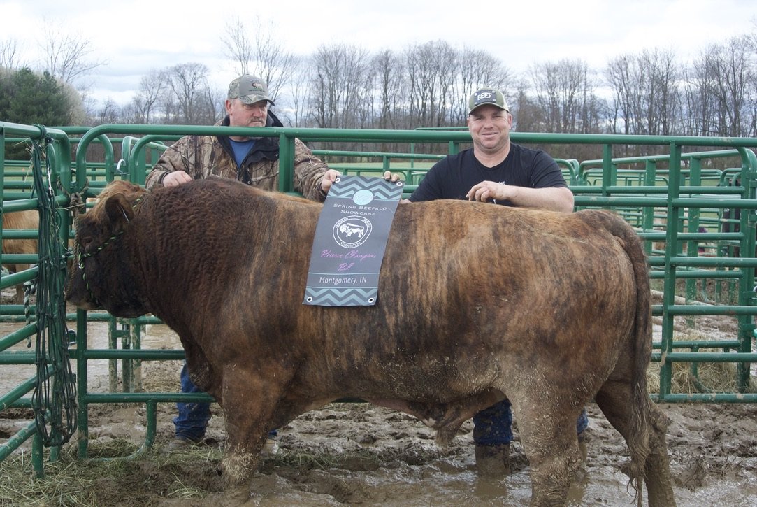 Beefalo News and Updates — American Beefalo Association