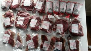 American Beefalo Association