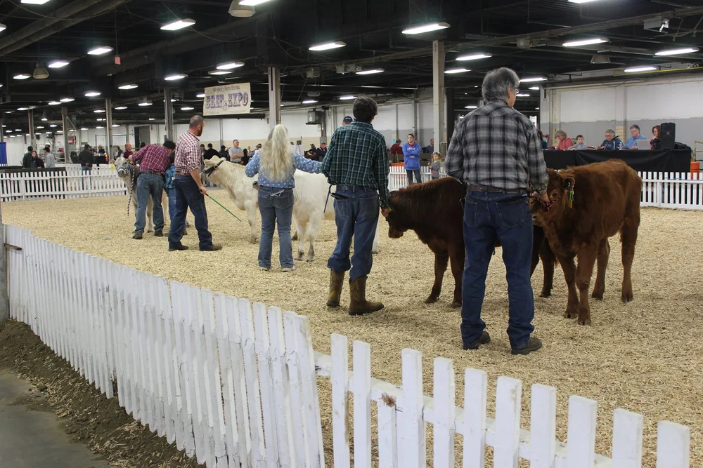American Beefalo Association