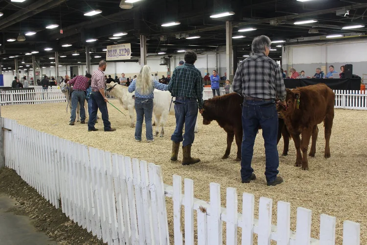 American Beefalo Association