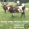 American Beefalo Association