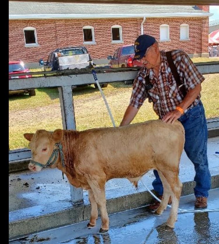 American Beefalo Association