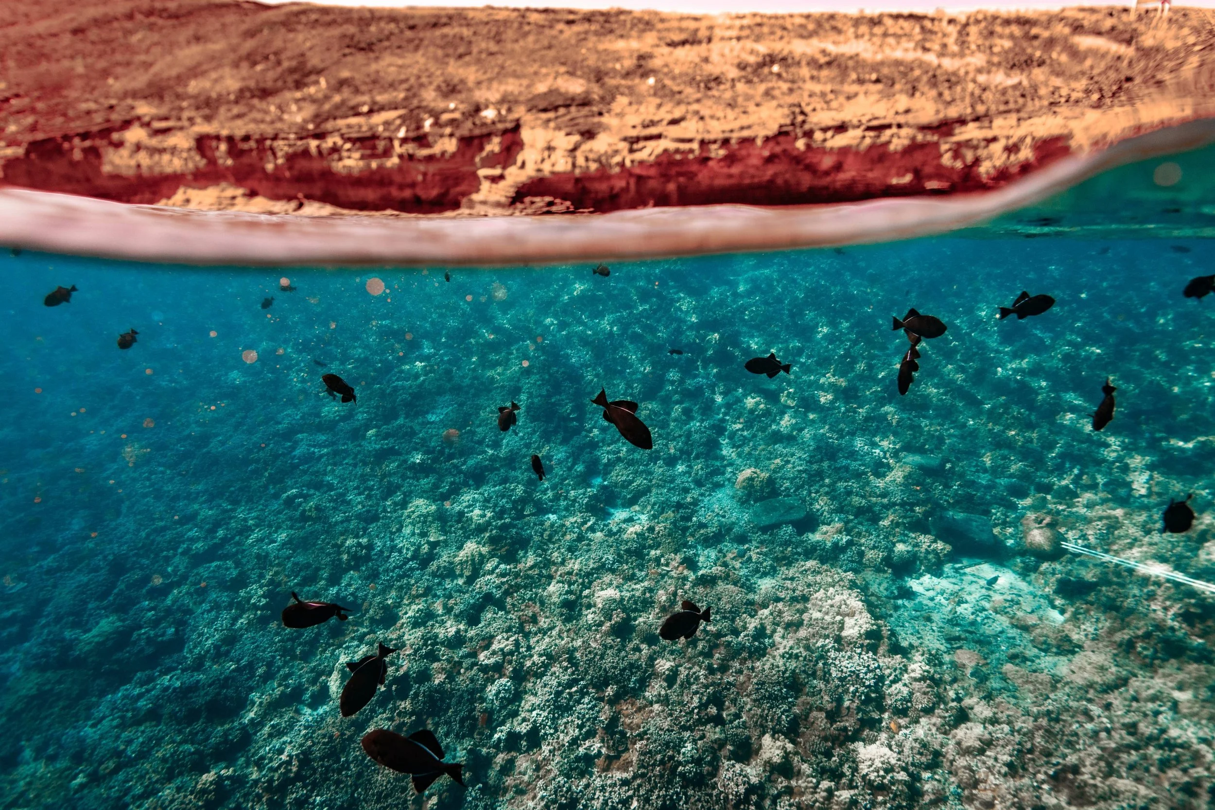 The Story Behind Molokini Crater and Why Itʻs one of Hawaiʻiʻs Most ...