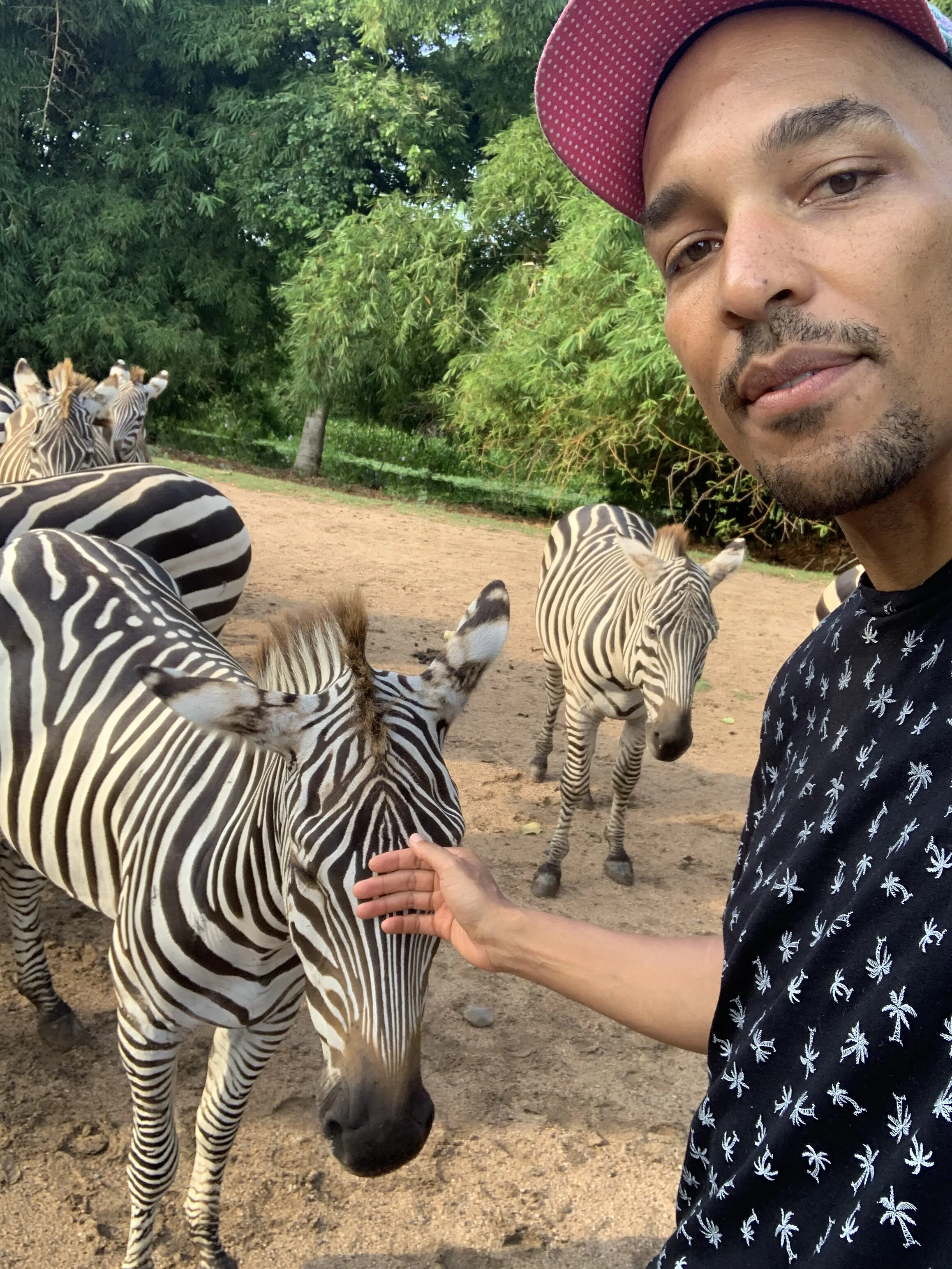 About — LIGHT WATKINS