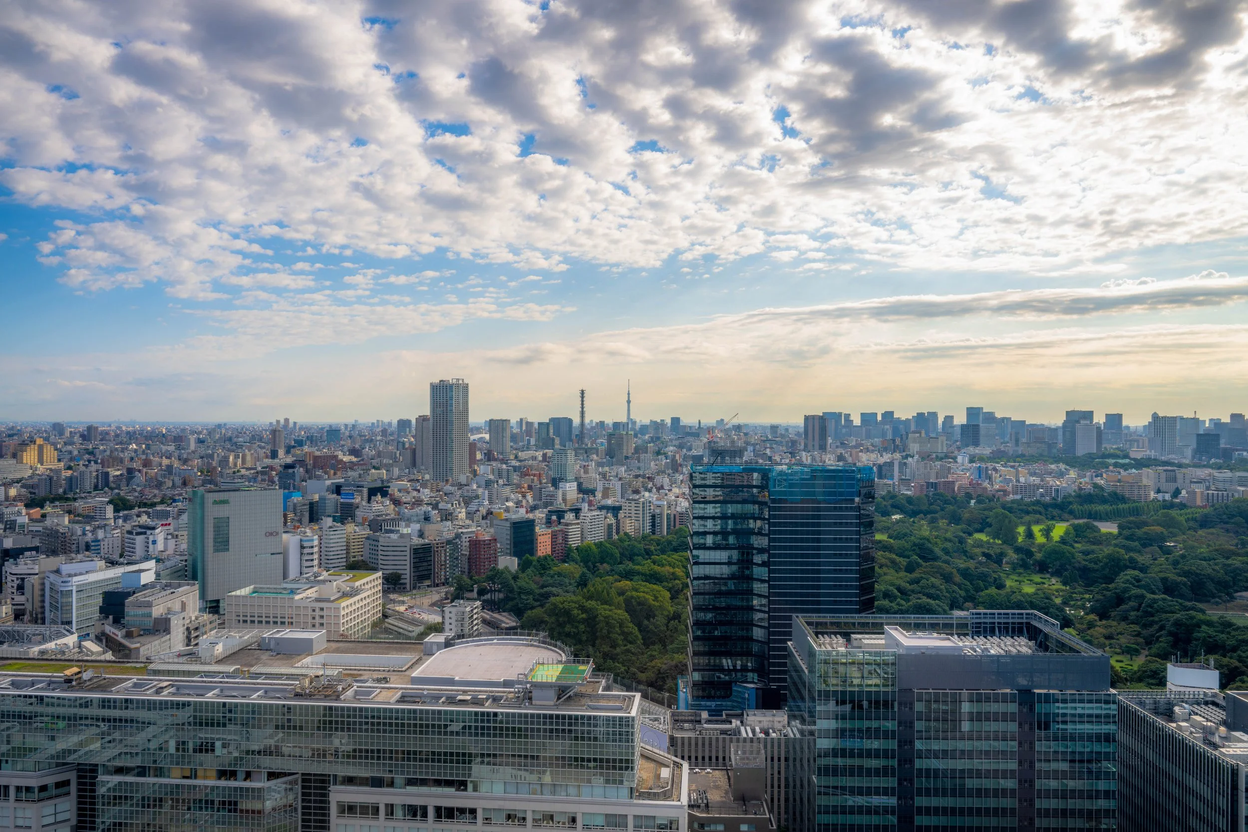 Discover Tokyo in 4 Days: A Journey Through Tradition and Modernity ...