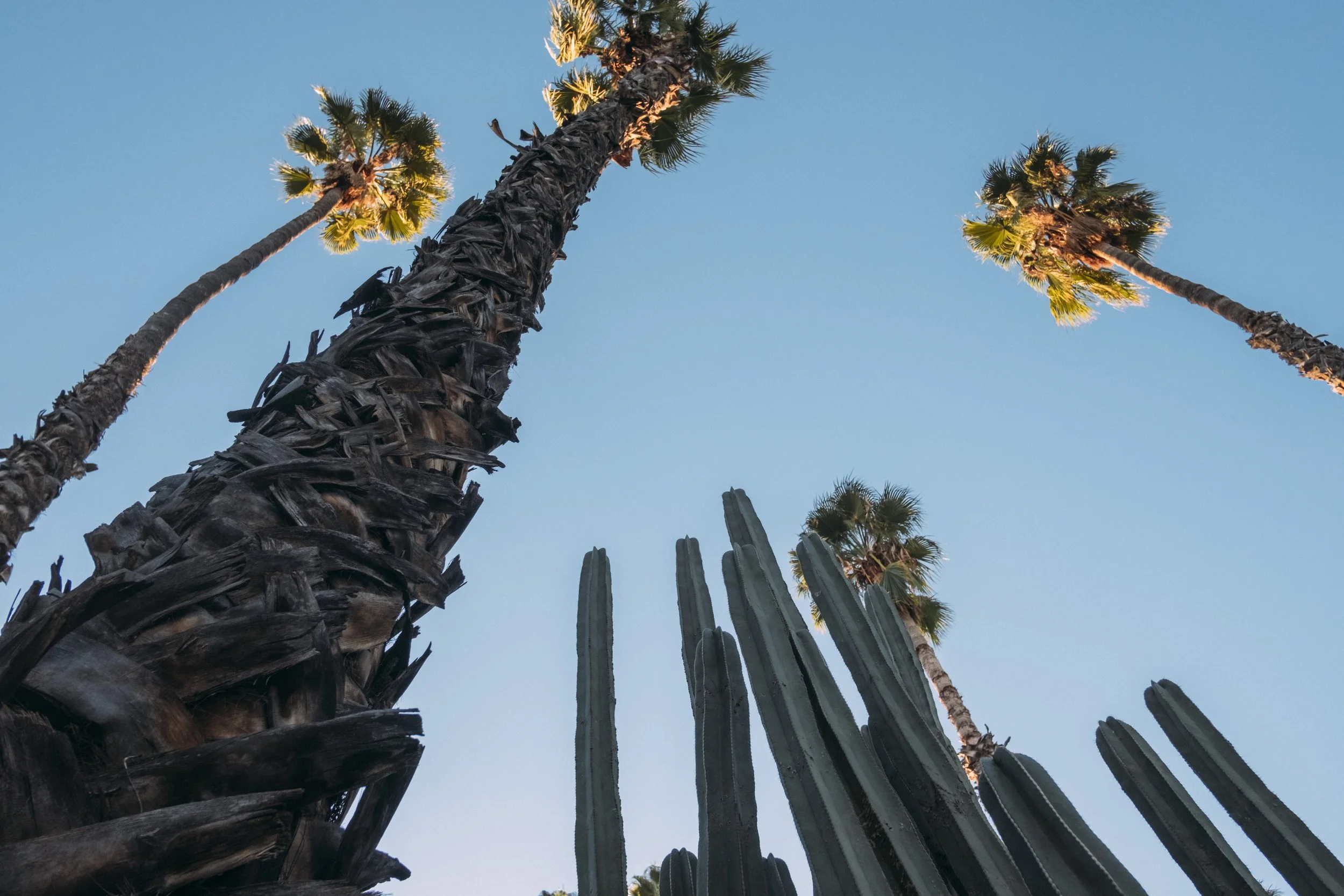 Morocco — Yvette Scott Photography