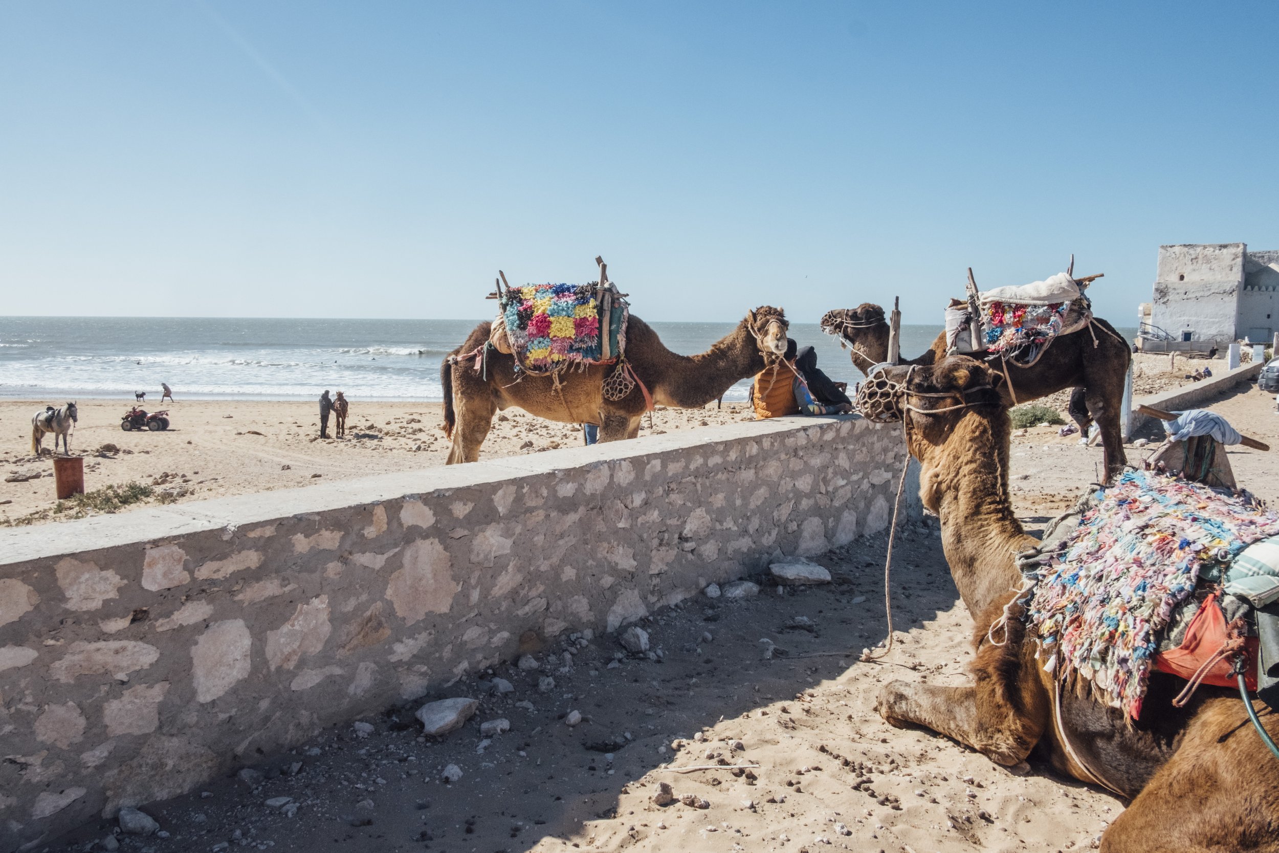 Morocco — Yvette Scott Photography