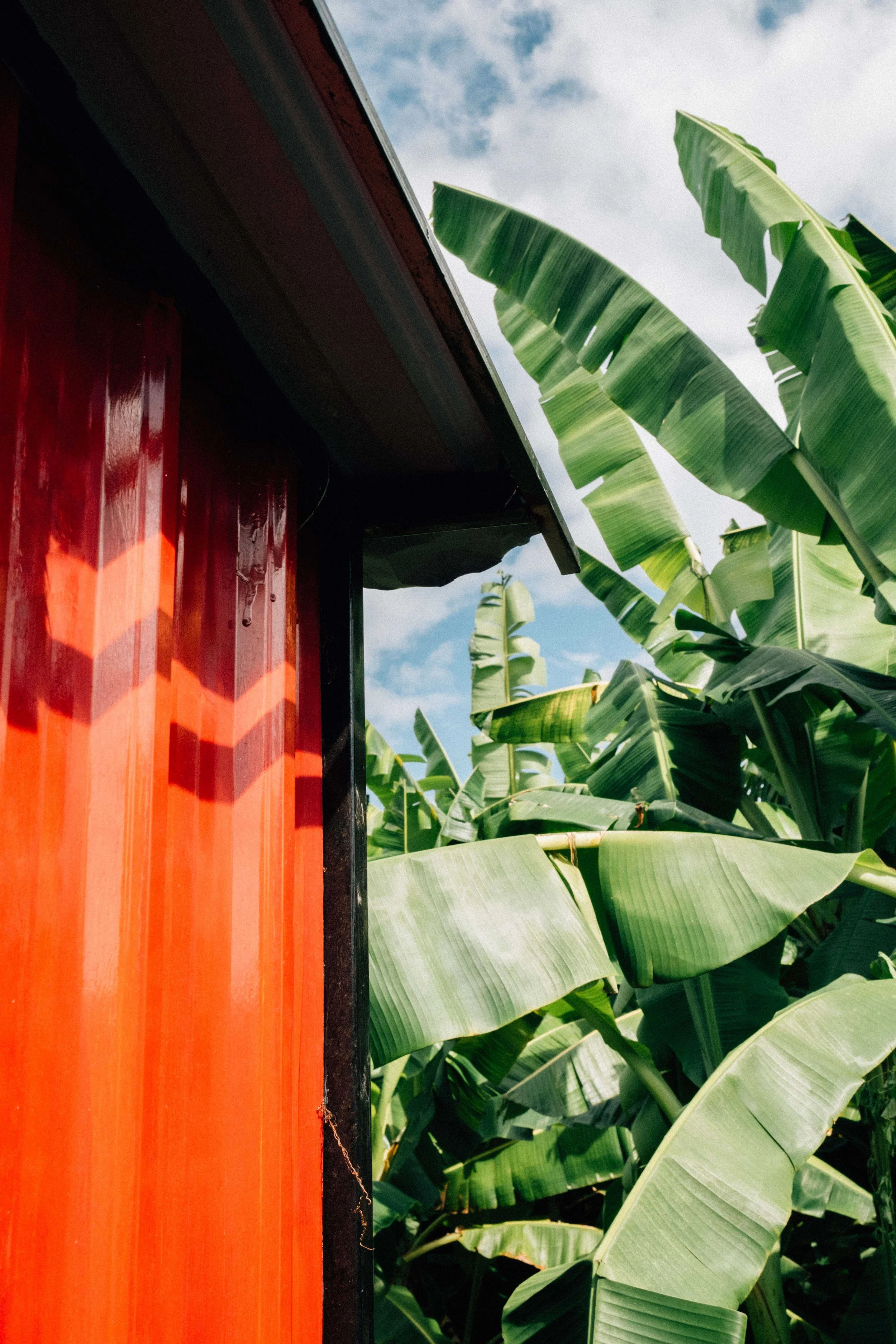 YVETTE SCOTT PHOTOGRAPHY