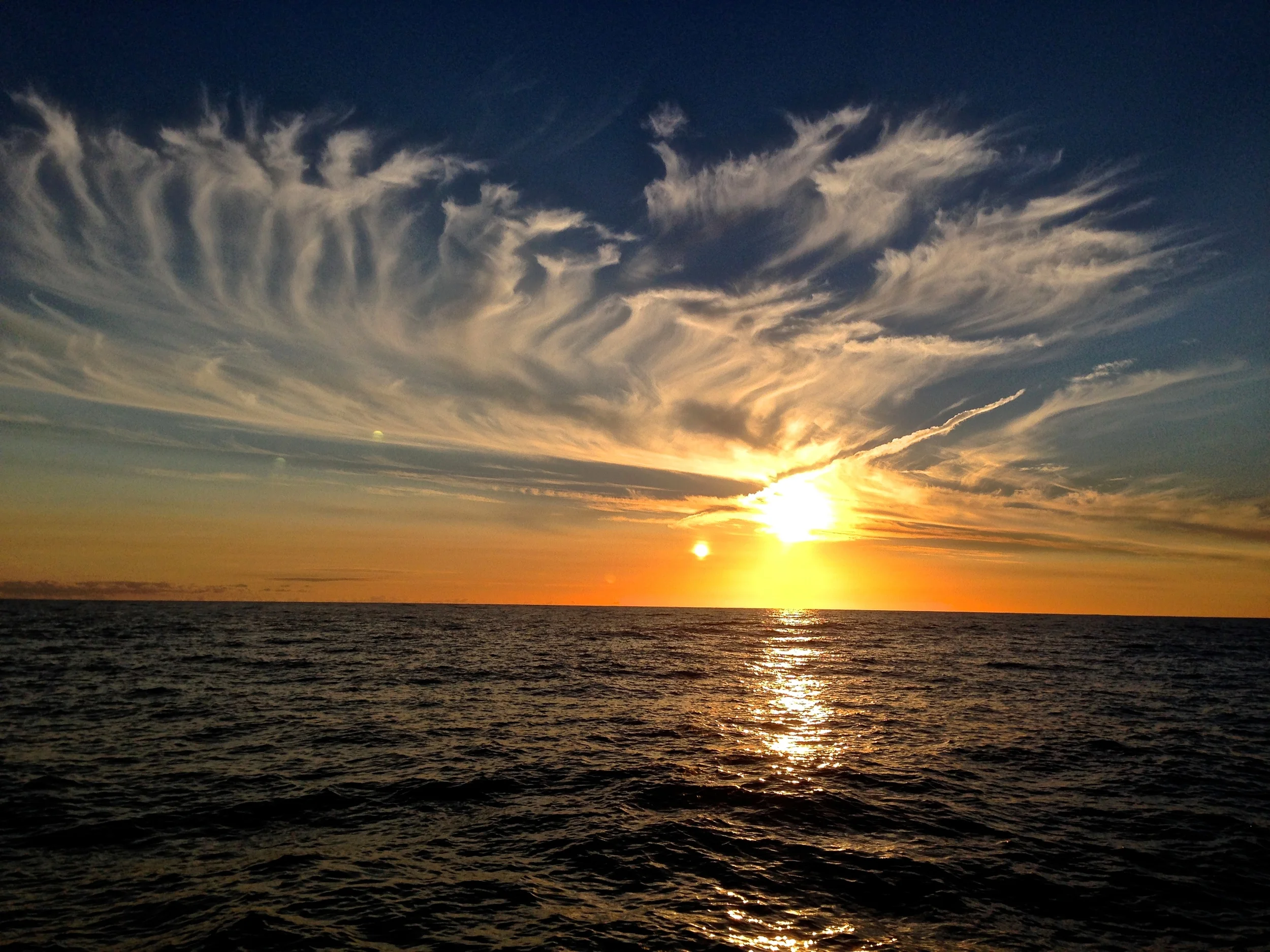 Ocean Sailing Expeditions