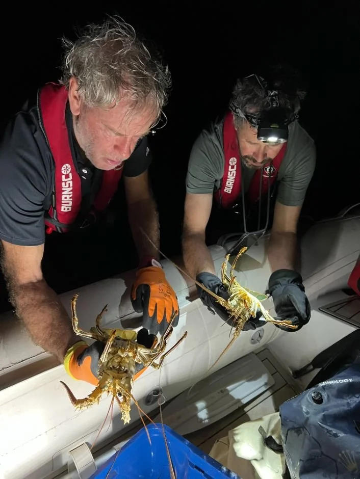 Minerva Reef 2022 Gallery — Ocean Sailing Expeditions