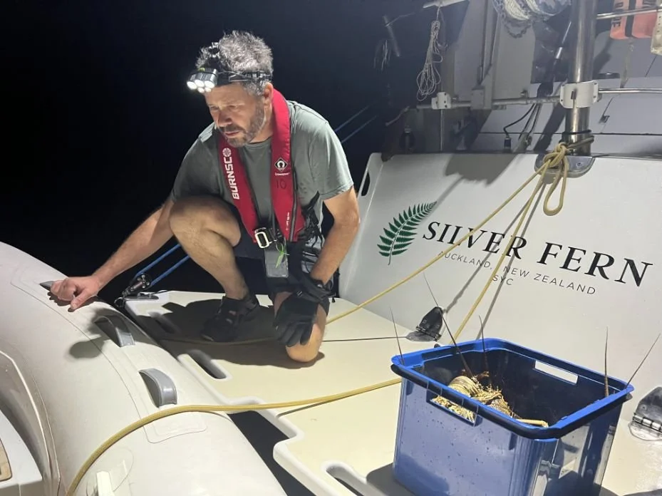 Minerva Reef 2022 Gallery — Ocean Sailing Expeditions