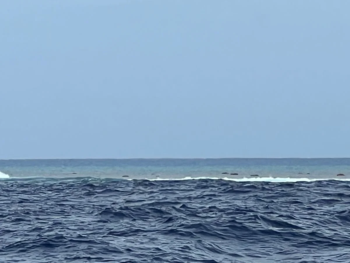 Minerva Reef 2022 Gallery — Ocean Sailing Expeditions