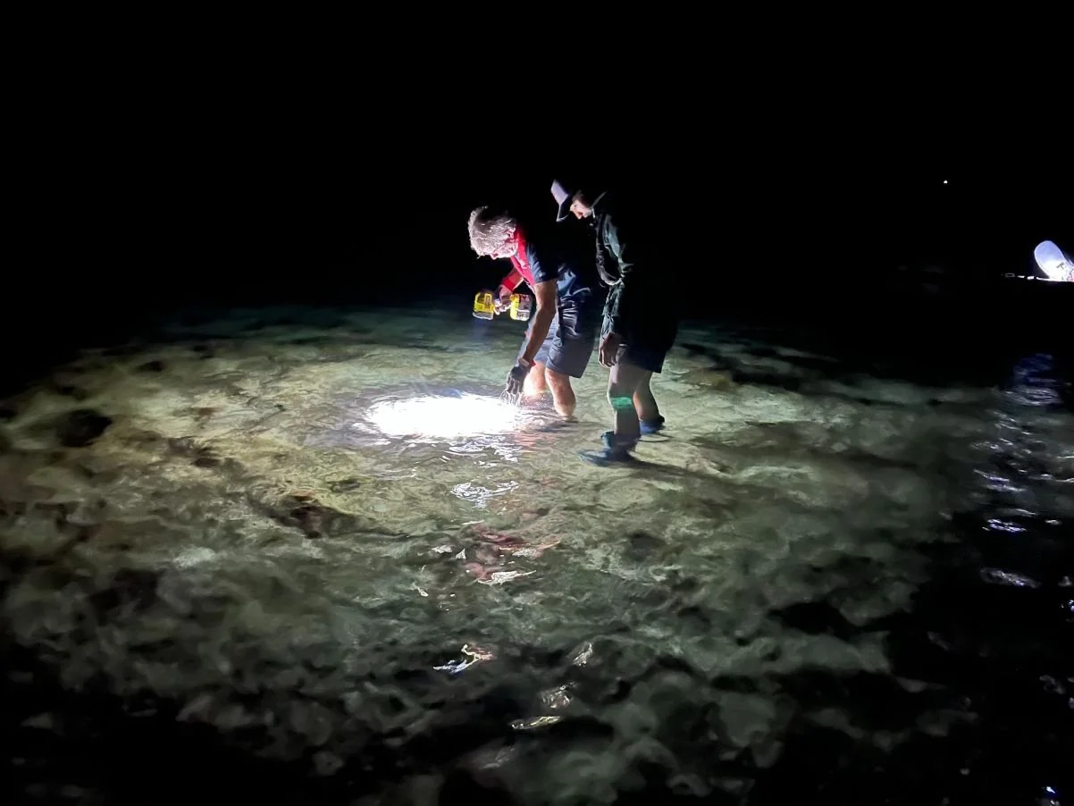 Minerva Reef 2022 Gallery — Ocean Sailing Expeditions