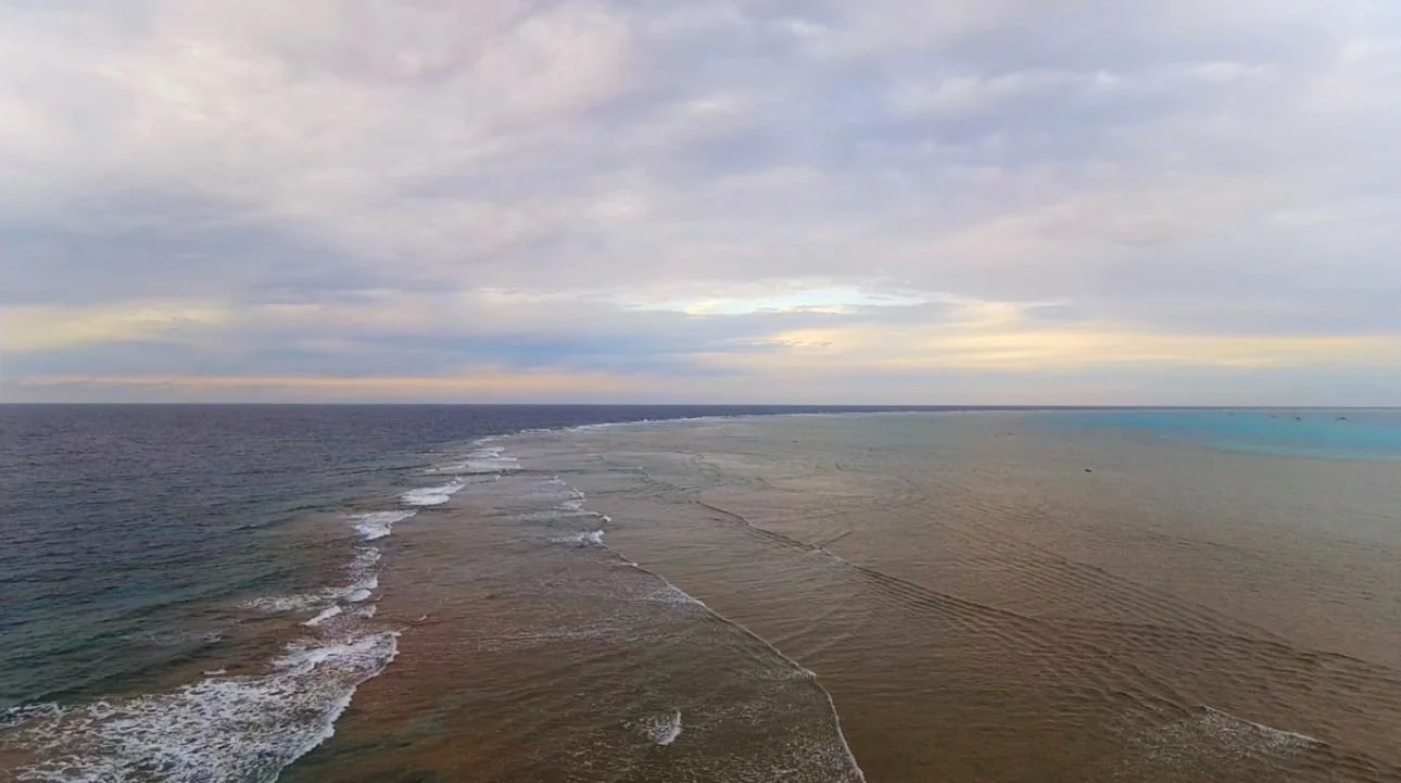 Minerva Reef 2022 Gallery — Ocean Sailing Expeditions