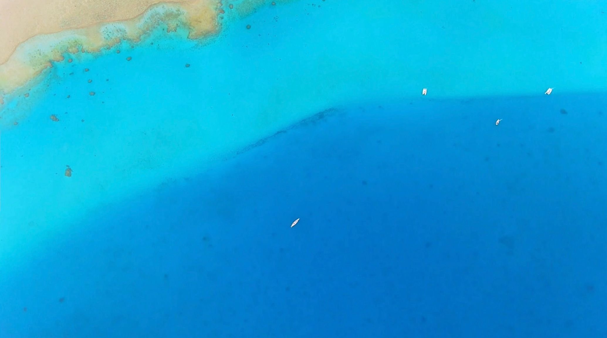 Minerva Reef 2022 Gallery — Ocean Sailing Expeditions