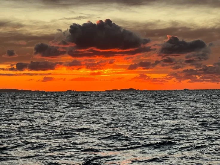 Minerva Reef 2022 Gallery — Ocean Sailing Expeditions