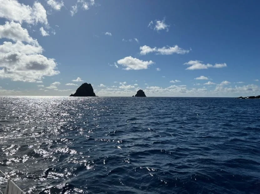 The Kermadecs 2022 Gallery — Ocean Sailing Expeditions