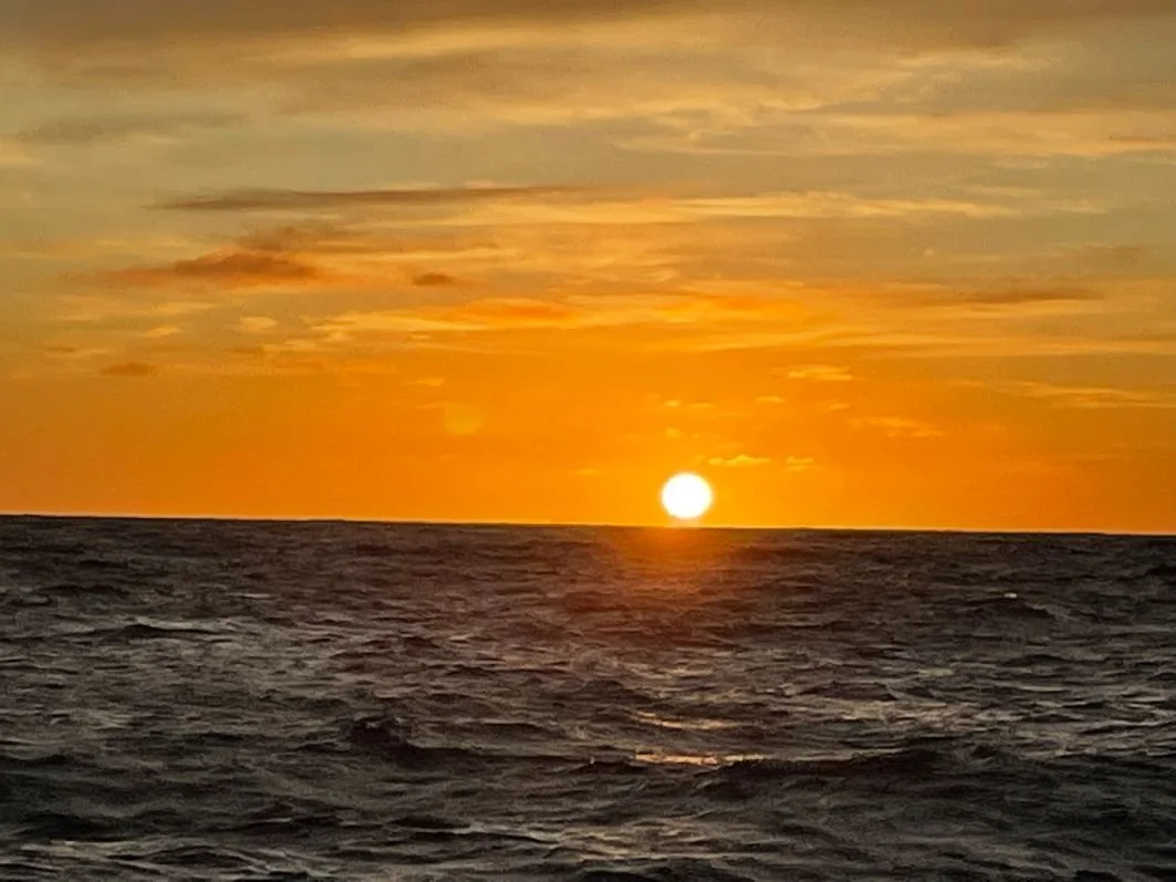 The Kermadecs 2022 Gallery — Ocean Sailing Expeditions