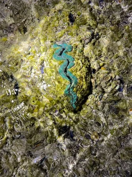 Minerva Reef 2022 Gallery — Ocean Sailing Expeditions