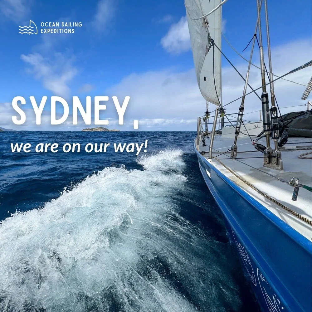 Ocean Sailing Expeditions