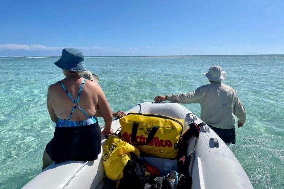 Join our sailing expedition to Lady Musgrave & Lady Elliott Reefs ...