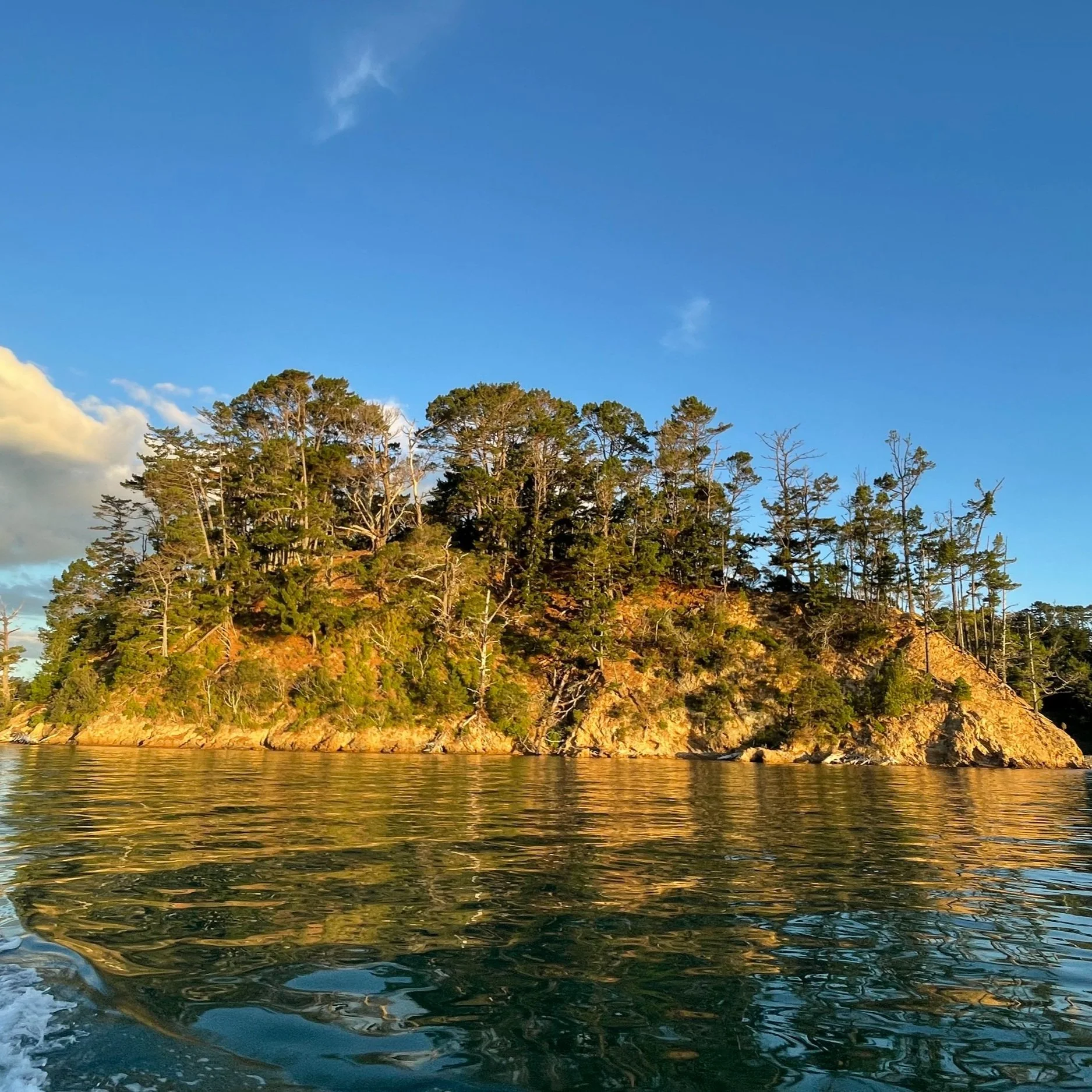 Sailing Calendar — Ocean Sailing Expeditions