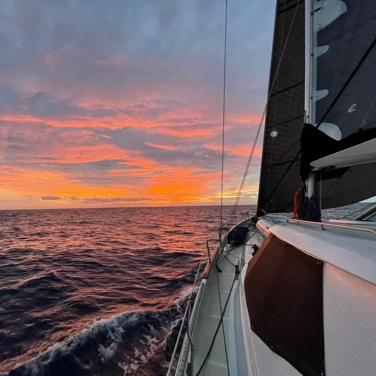 All Sailing Events — Ocean Sailing Expeditions