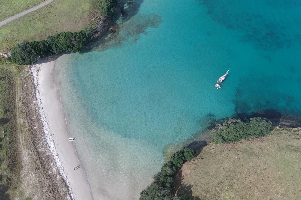 Join Ocean Sailing Expeditions in the Hauraki Gulf – Sail and motor ...