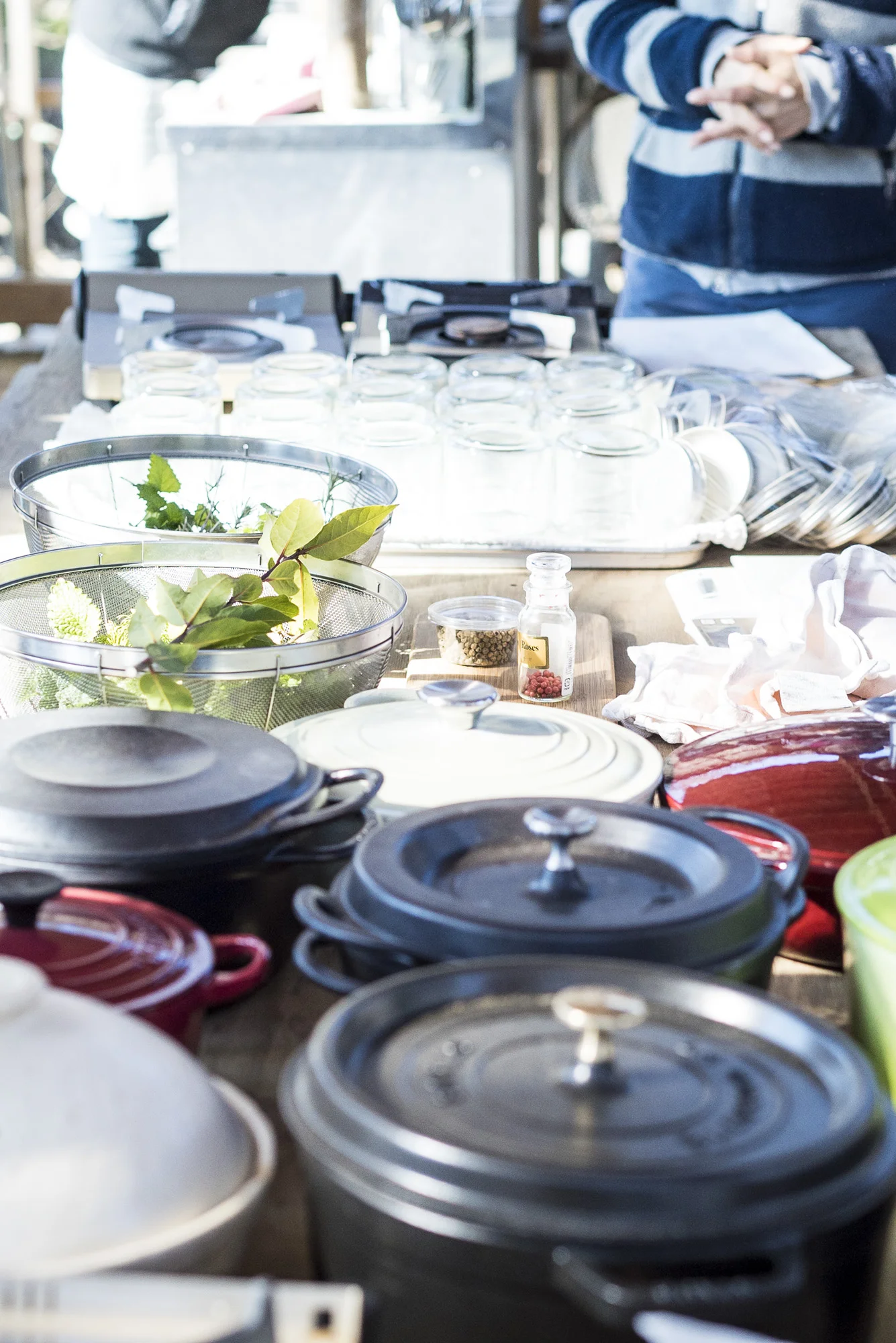 GALLERY — FARM CANNING