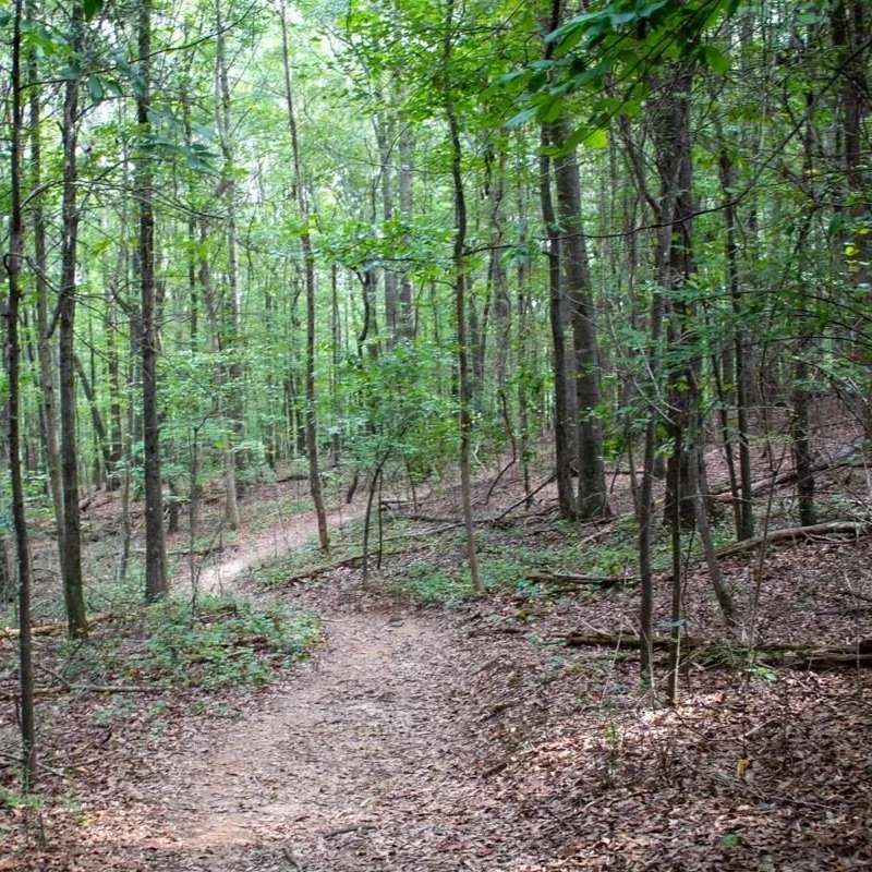 atlanta-homeschool-field-trips-the-academy