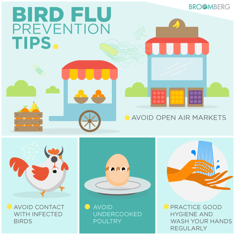 Bird Flu — Higher Oak Farm