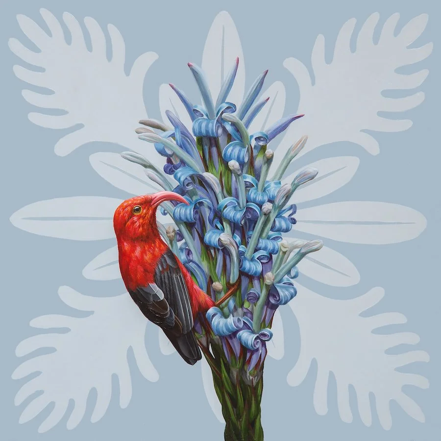 Shop — Jon Ching Art