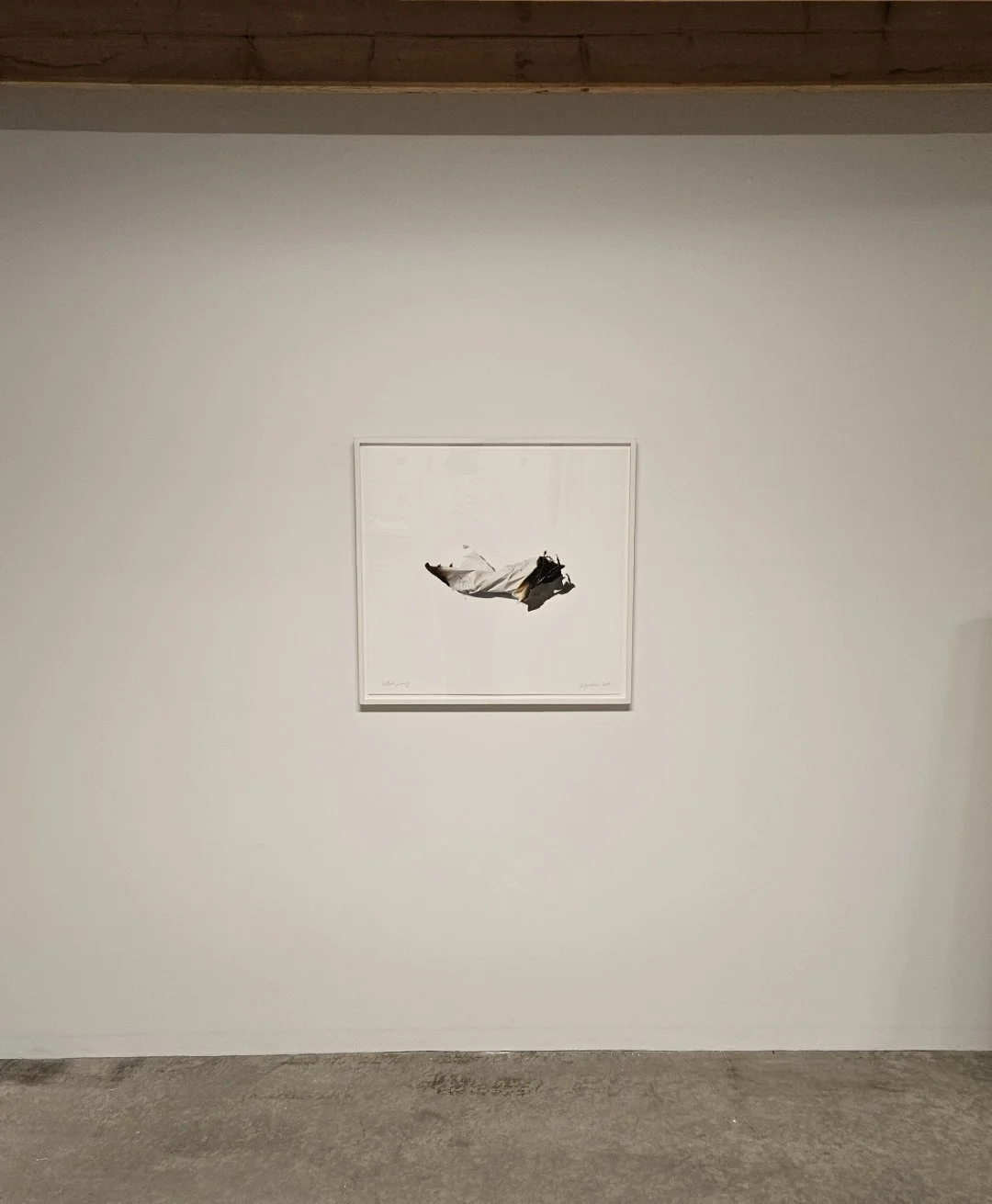 GLORIA GRAHAM | INDEX CARDS REDRESSED - 6/14/24 — 5.