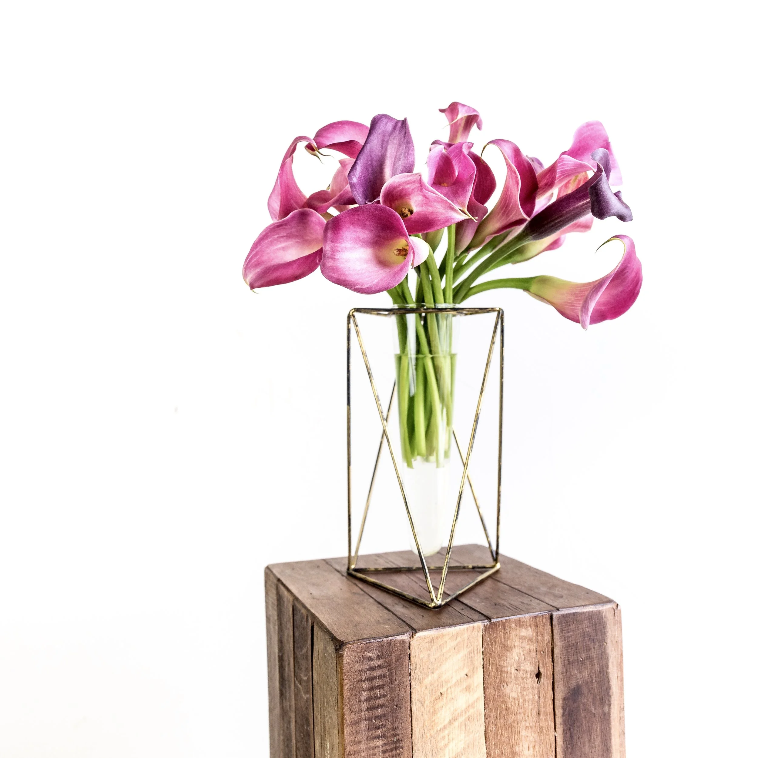 Flower Designs — l a b e l l u m