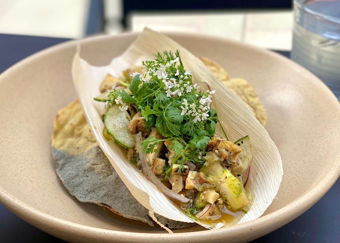 We just added a new Oaxaca Mezcal Experience for this year! — Gastronomad