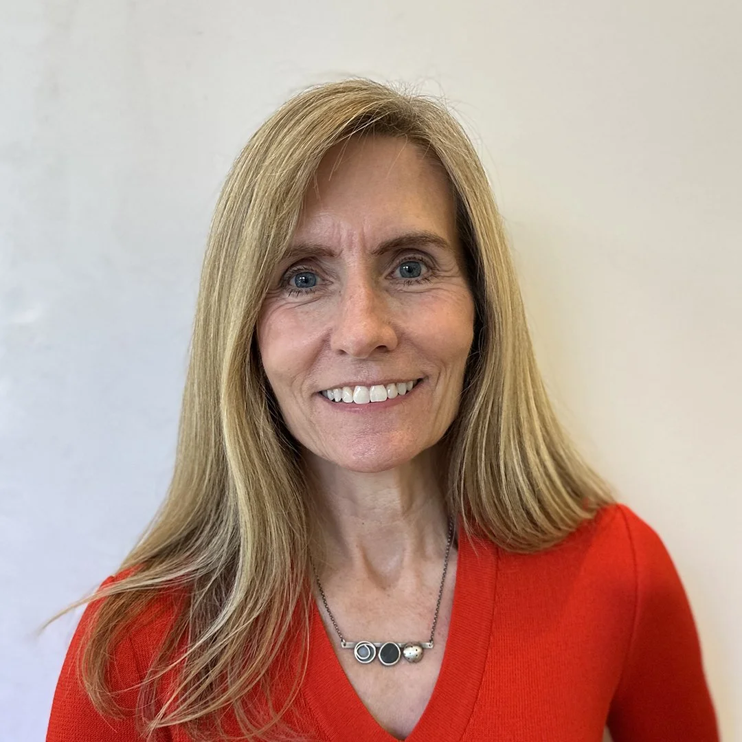 Beach stones, enamel. Sterling silver, twig, colorful, jewelry, Susan ...