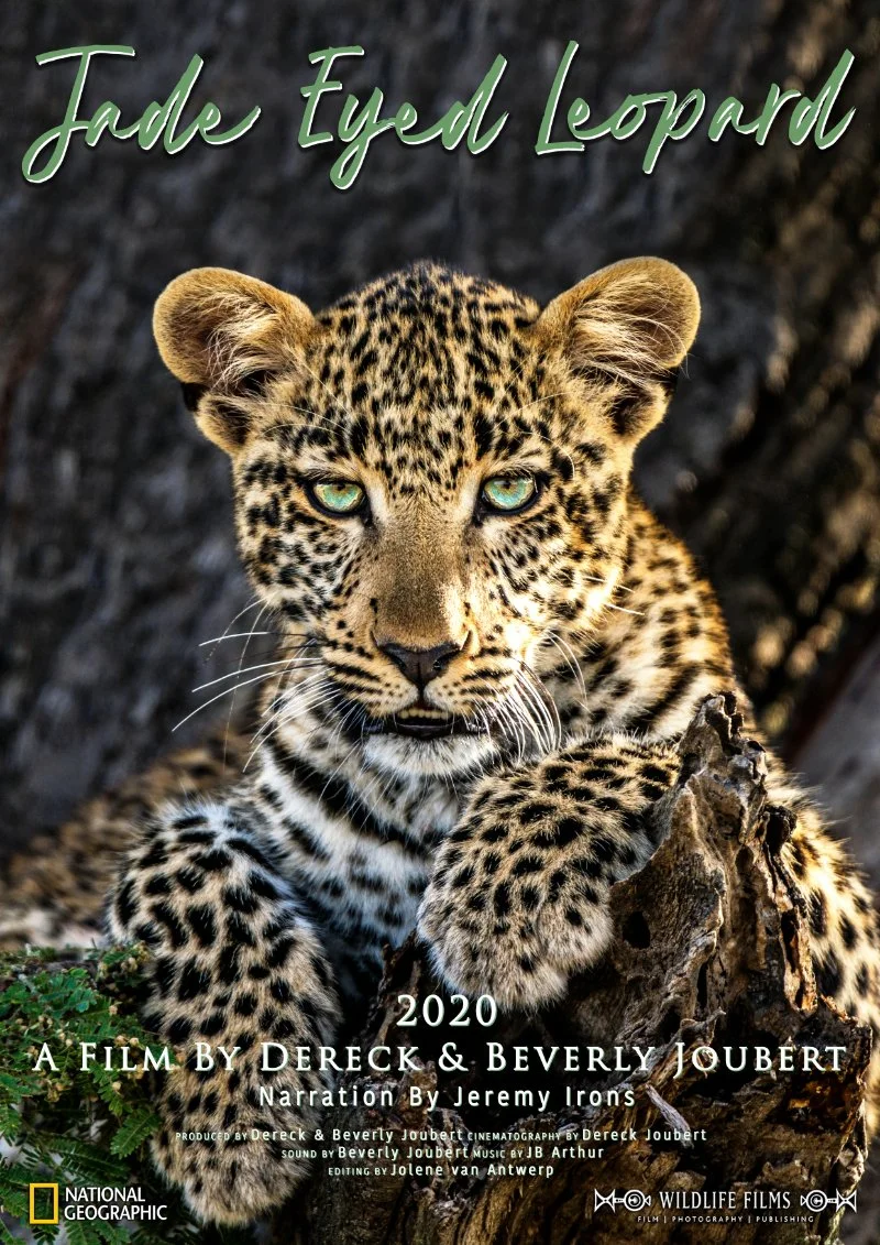 Jade Eyed Leopard — Wildlife Films