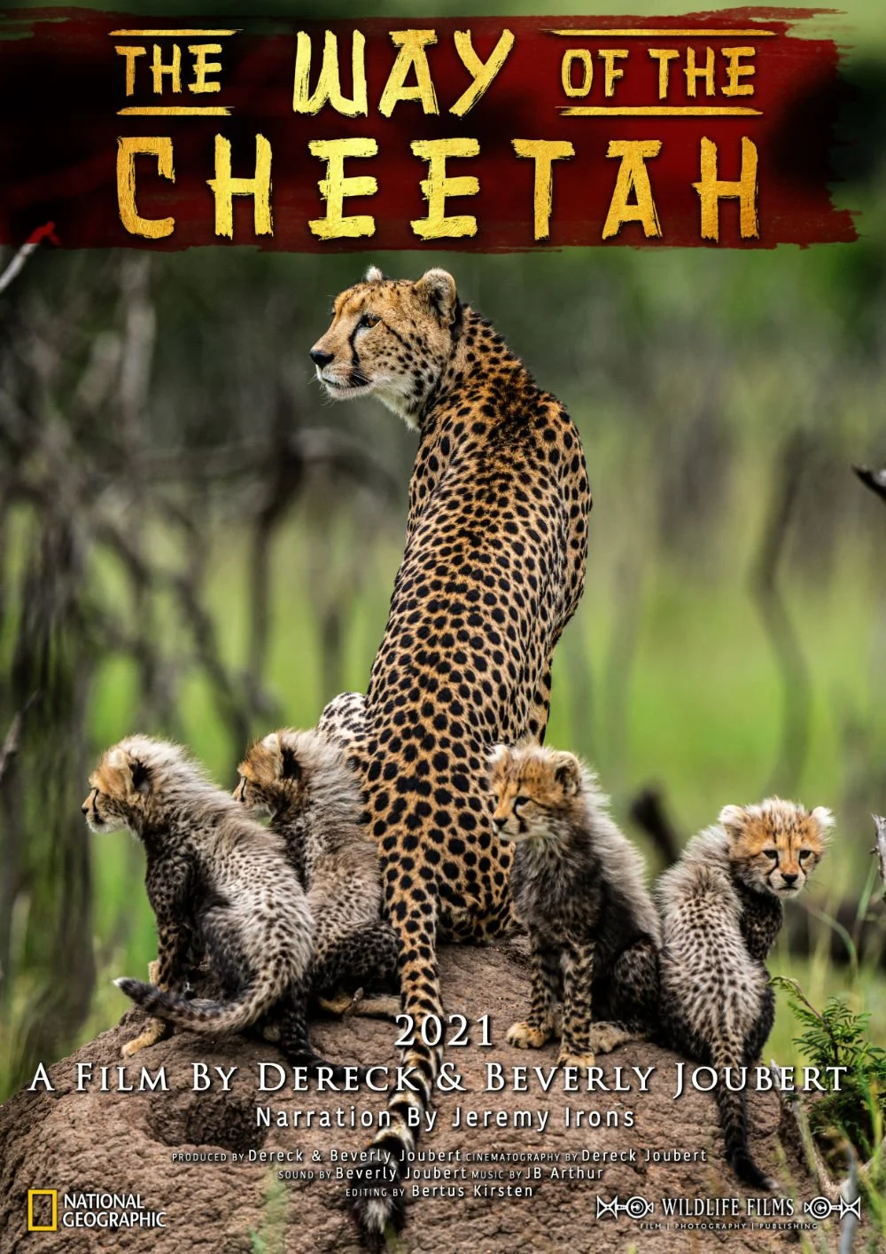 The Way of the Cheetah — Wildlife Films