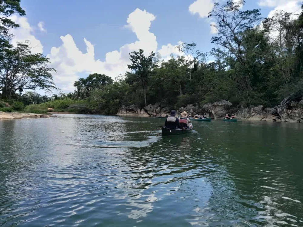 Monkey Bay Tours — Monkey Bay Wildlife Sanctuary