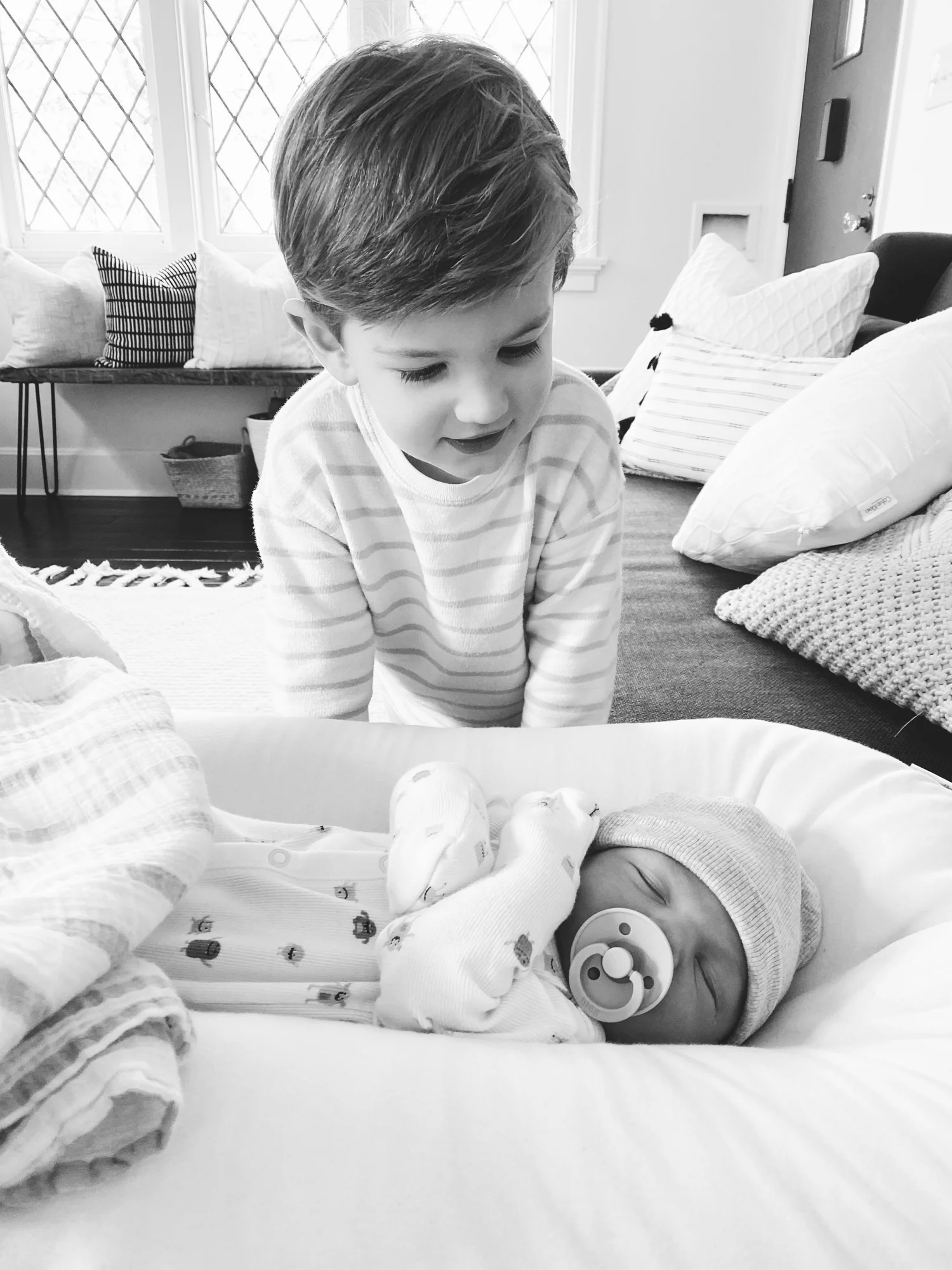 About — Lisa Cron Design | Thoughtfully Crafted Brand Design for Small ...