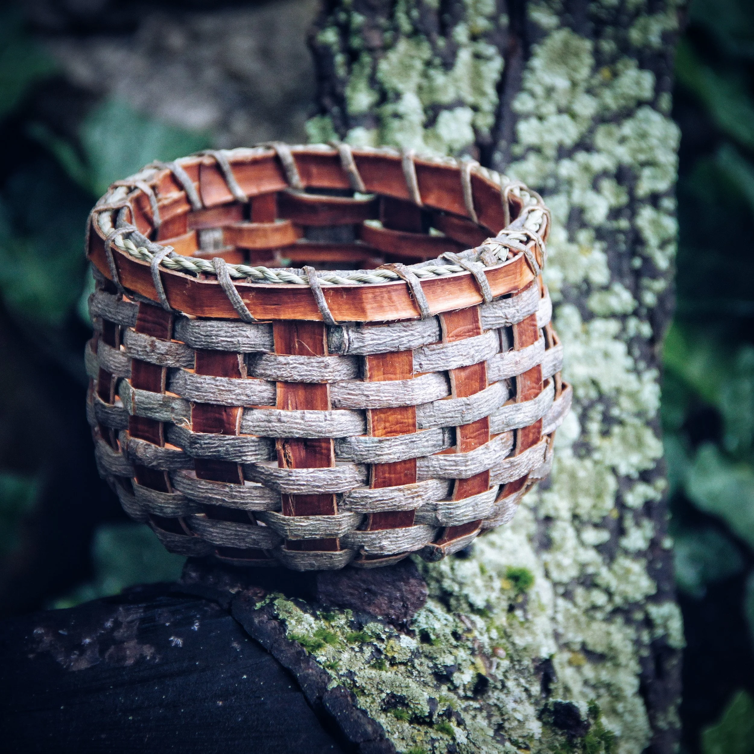 Gallery — Willowbrook Basket Farm