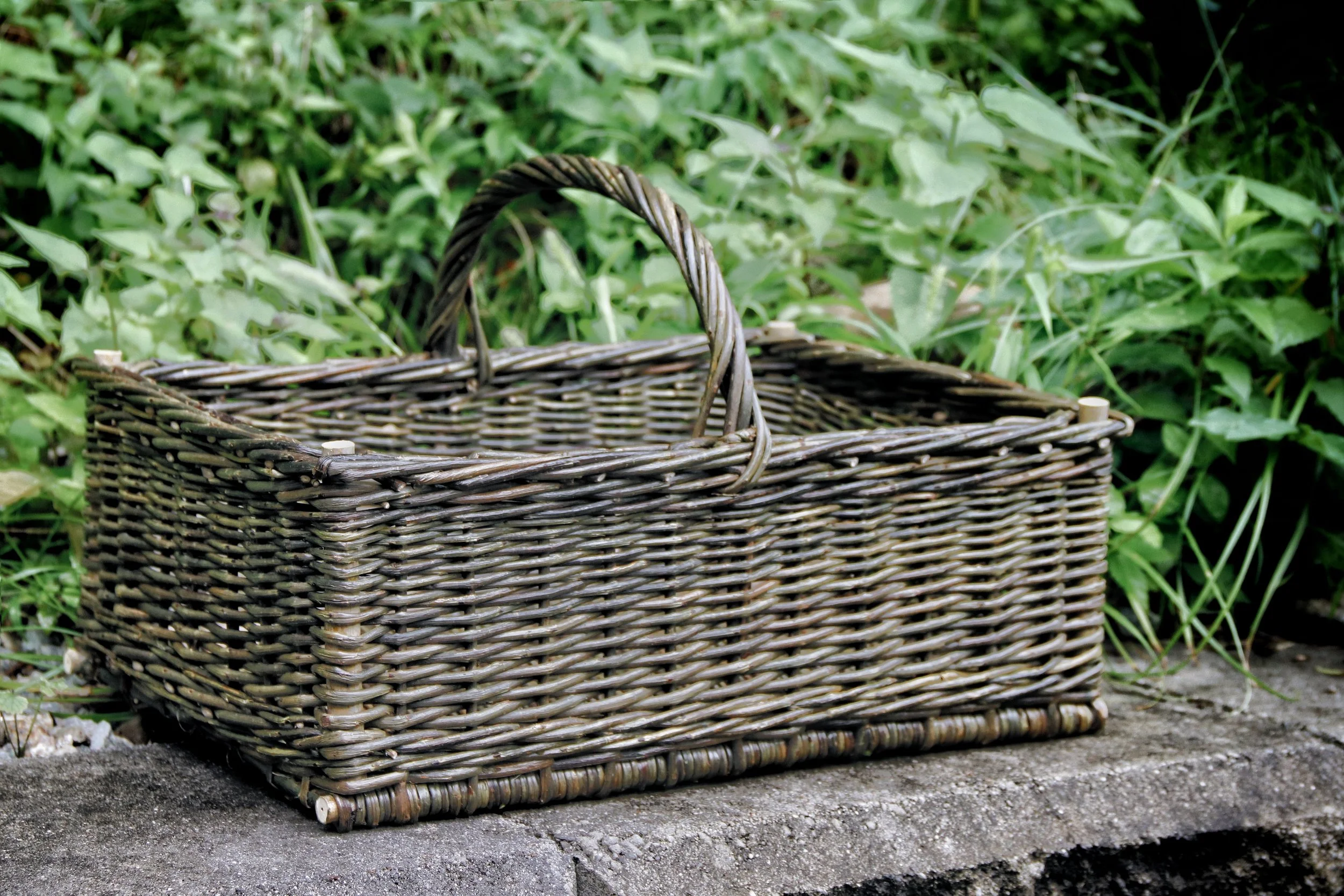 At the Branch Ranch with Eddie Glew — Willowbrook Basket Farm