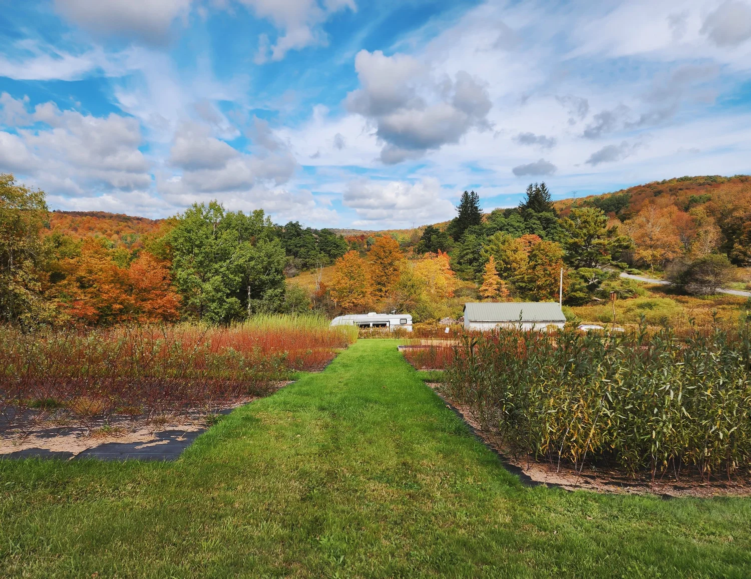 The Farm — Willowbrook Basket Farm