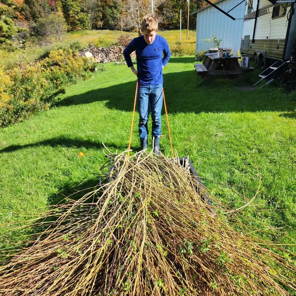 The Farm — Willowbrook Basket Farm