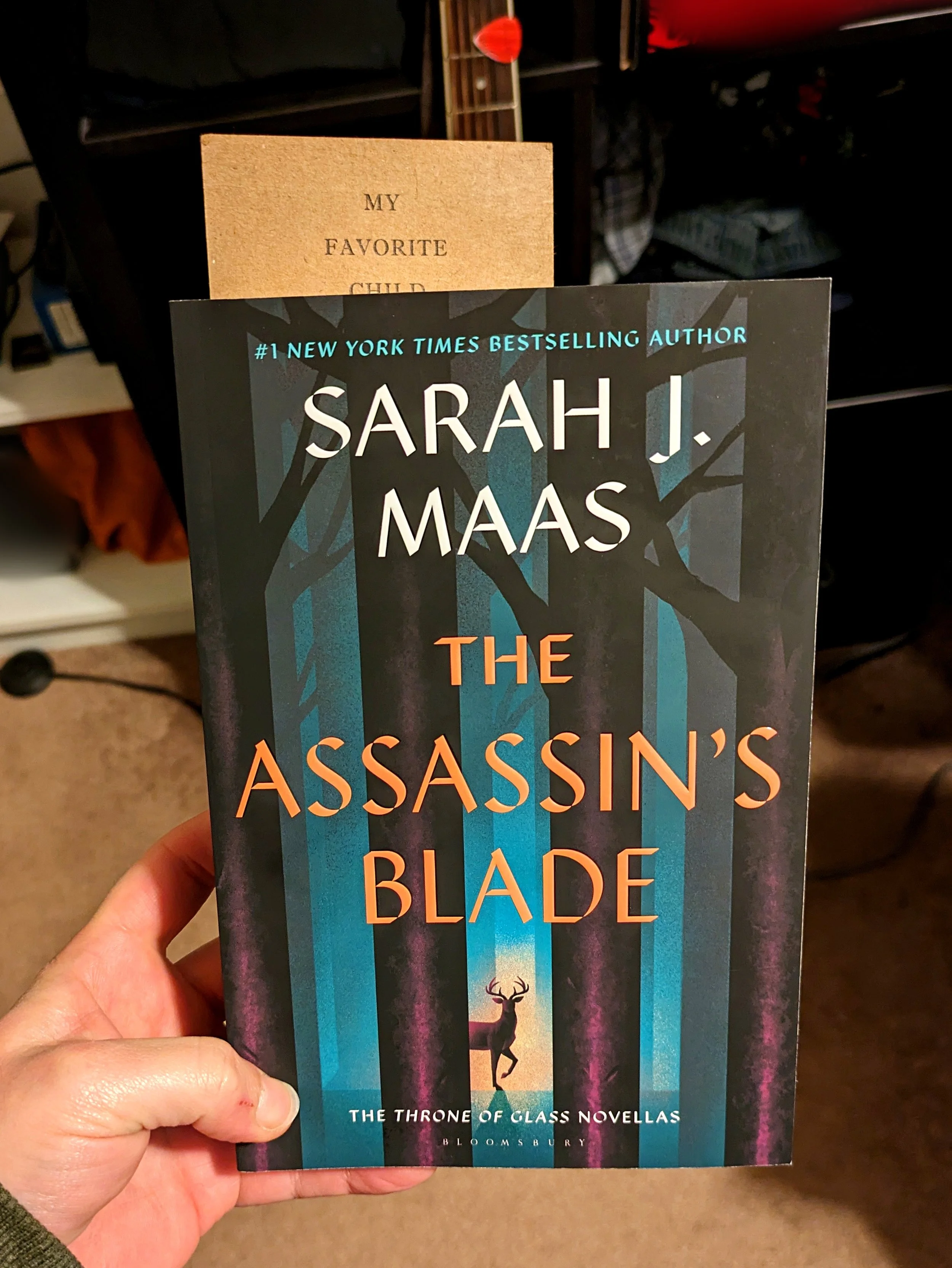 Book Review: The Assassin's Blade by Sarah J. Maas — Joe's Notes