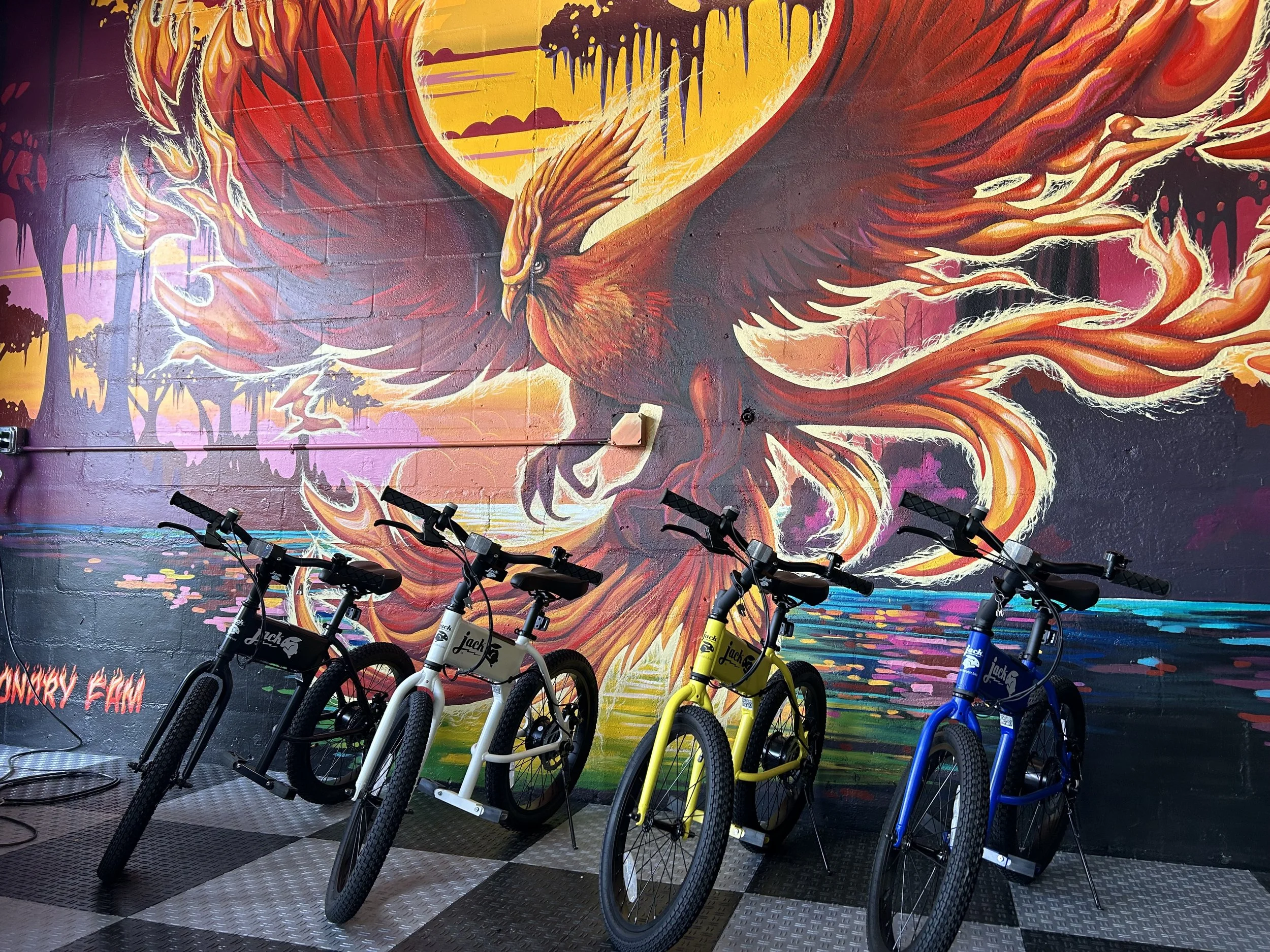 Electric Bikes in Gainesville — Gainesville Electric Bike Garage
