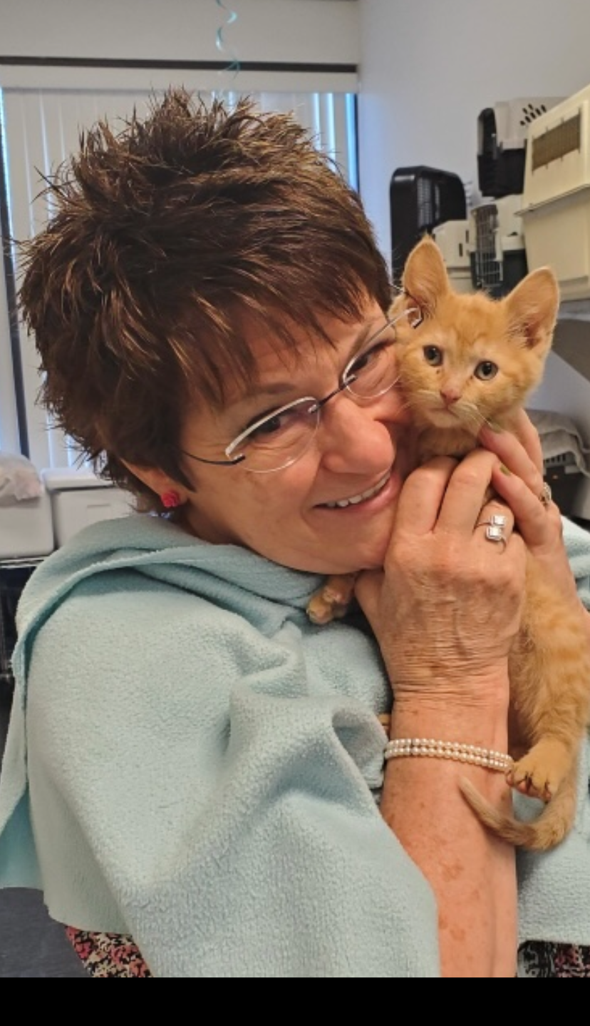 Leadership — Feral Cat Spay/Neuter Project