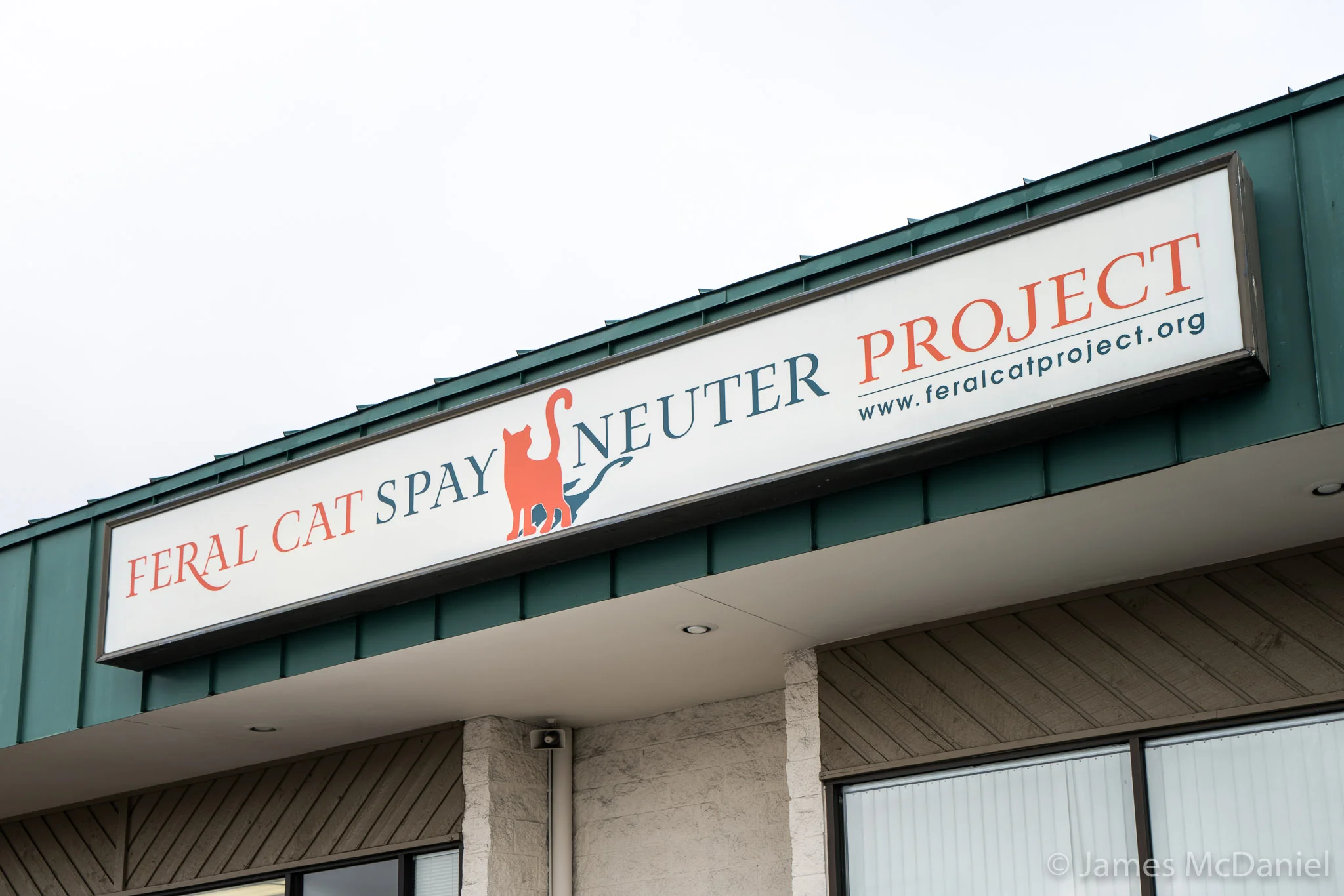 Book An Appointment — Feral Cat Spay/Neuter Project