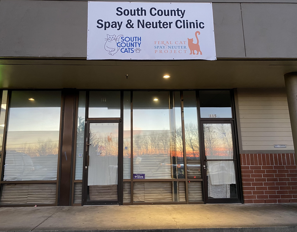 Book An Appointment — Feral Cat Spay/Neuter Project