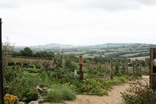 Mello View and their special stew recipe — heiter magazine